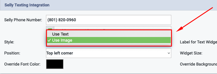 WebManager Website Texting Setup – AutoManager